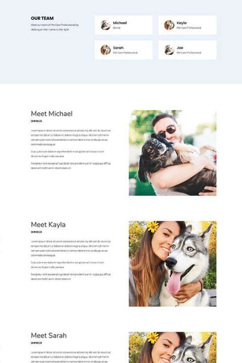 About Us Layouts | Webpage Layouts - Barketing Solutions