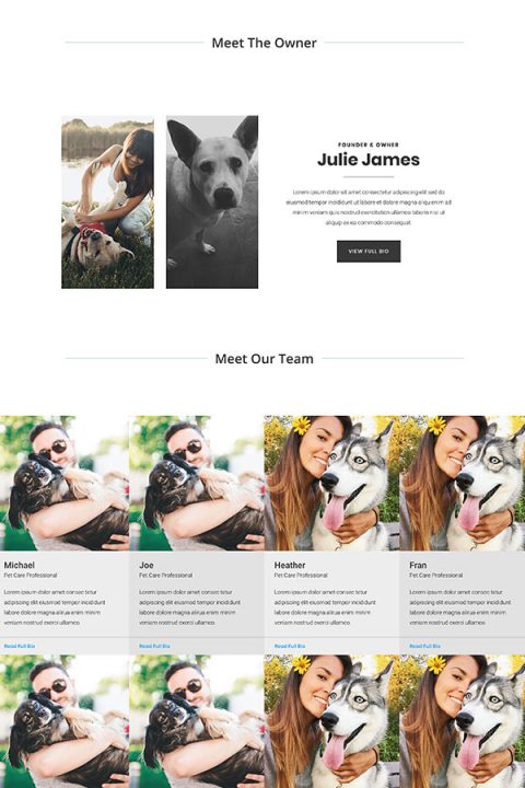 About Us Layouts | Webpage Layouts - Barketing Solutions