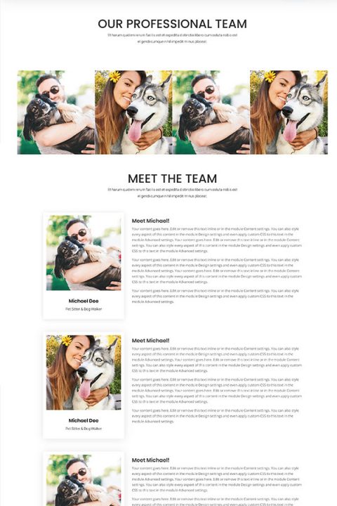 About Us Layouts | Webpage Layouts - Barketing Solutions