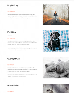 Services Page Layouts | Webpage Layouts - Barketing Solutions
