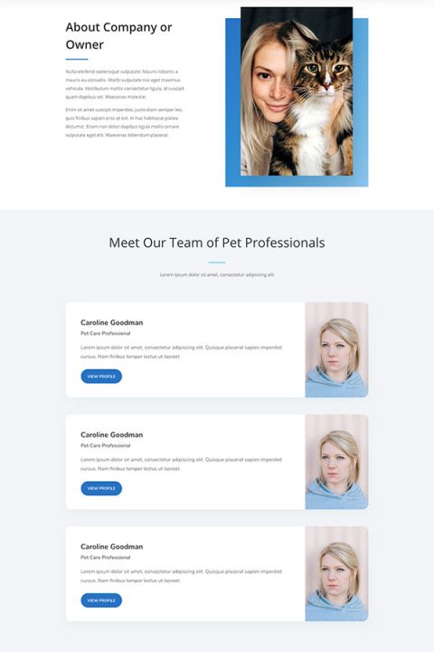 About Us Layouts | Webpage Layouts - Barketing Solutions