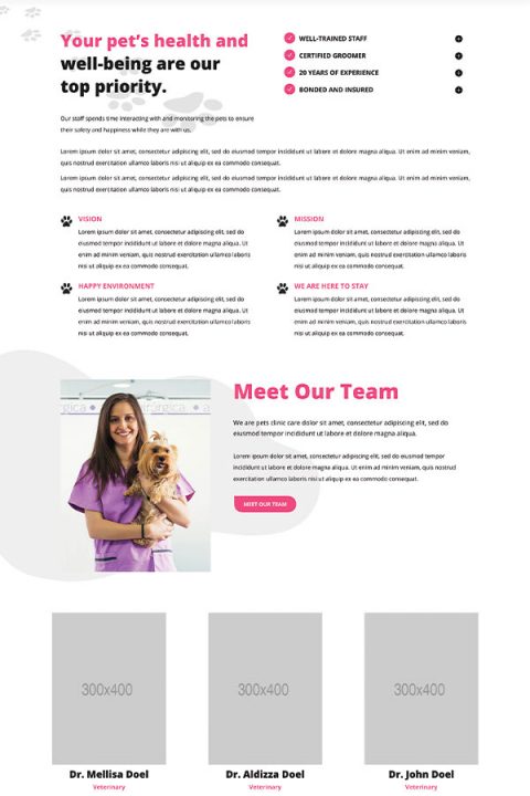 About Us Layouts | Webpage Layouts - Barketing Solutions