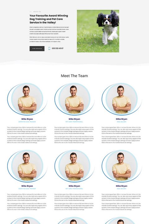 About Us Layouts | Webpage Layouts - Barketing Solutions