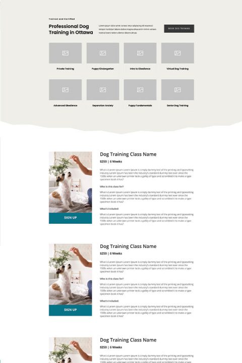 Services Page Layouts | Webpage Layouts - Barketing Solutions