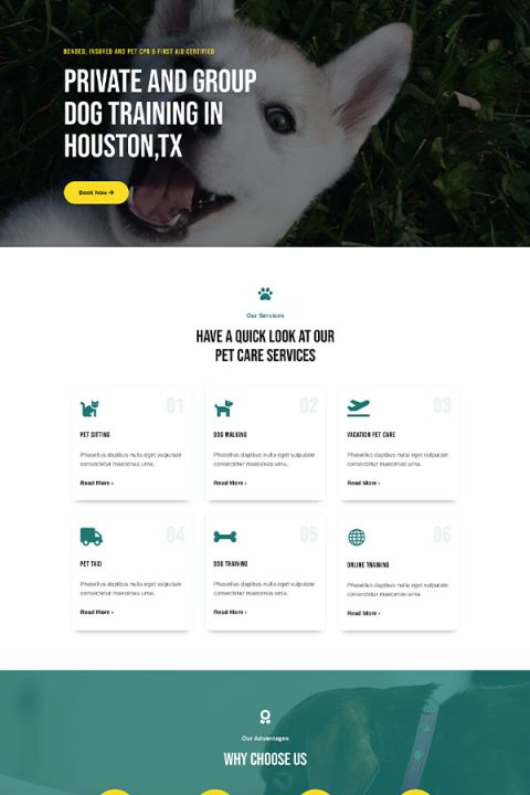 homepage layouts | Webpage Layouts - Barketing Solutions