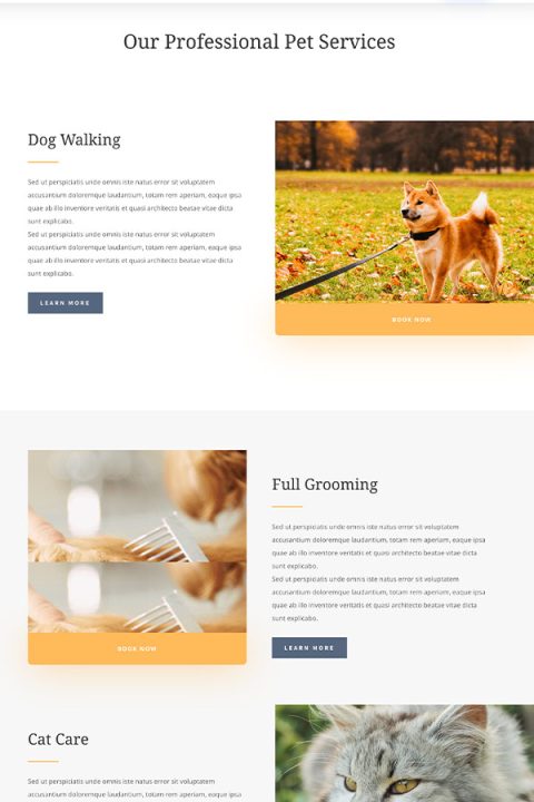 Services Page Layouts | Webpage Layouts - Barketing Solutions